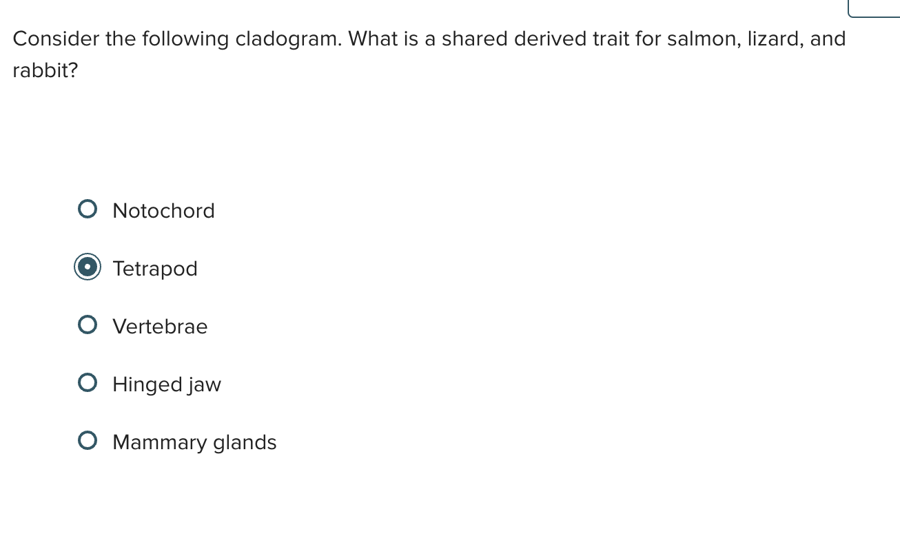 Solved Consider the following cladogram. What is a shared | Chegg.com