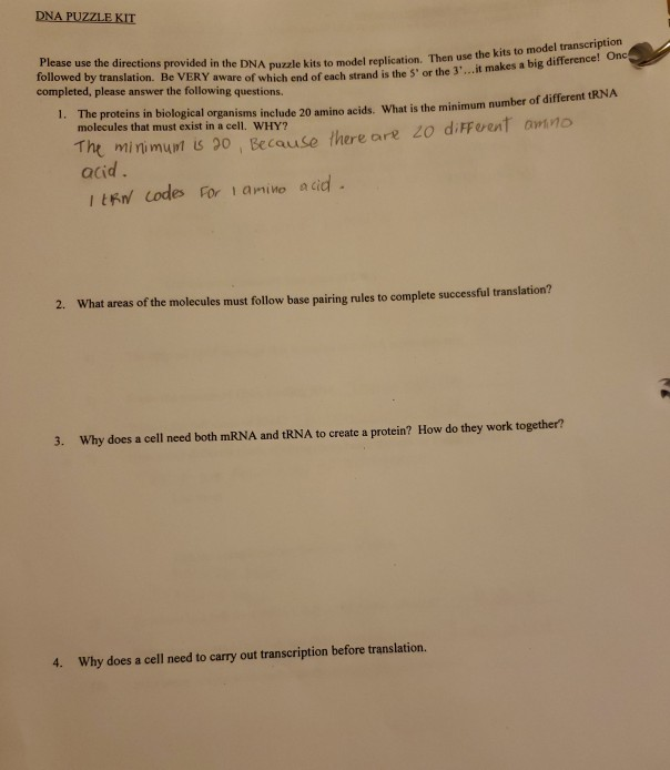 Solved DNA PUZZLE KIT Please use the directions provided in | Chegg.com