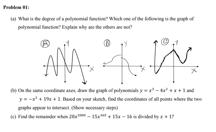 Solved Problem 01: (a) What is the degree of a polynomial | Chegg.com