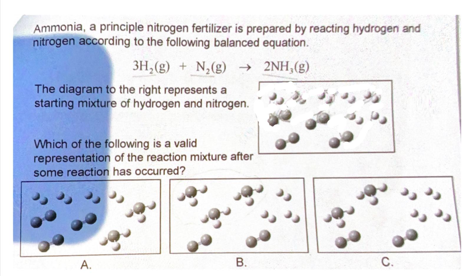 Solved Ammonia, a principle nitrogen fertilizer is prepared | Chegg.com