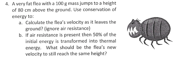 Solved 4. A very fat flea with a 100 g mass jumps to a | Chegg.com