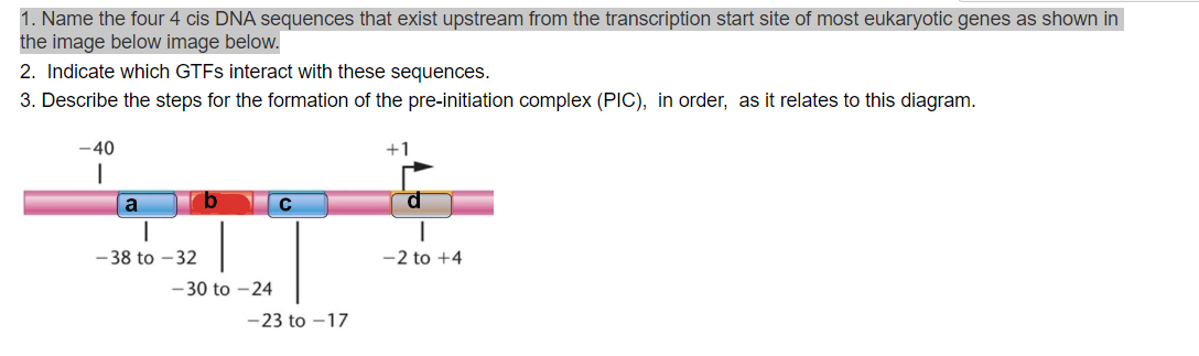 Solved Name the four 4 ﻿cis DNA sequences that exist | Chegg.com