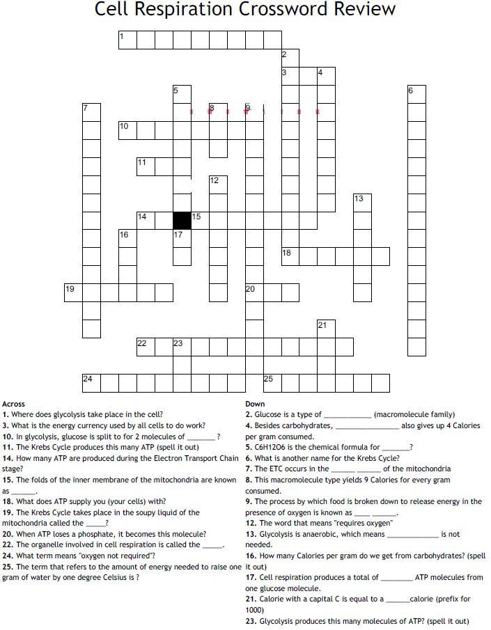 Solved Cell Respiration Crossword Review 3 5 16 9 10 11 12 | Chegg.com