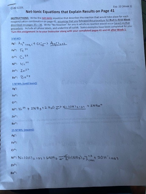 Solved write the net ionic equation that describes the | Chegg.com