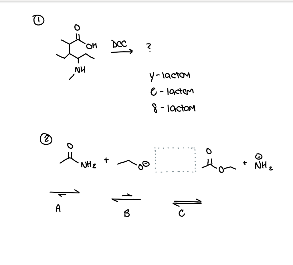 Solved "OH DCC ? 외 NH y-lacton &- lacten g-lactam 요 O t NHE | Chegg.com