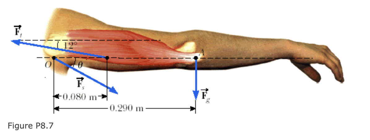 Solved The arm in Figure P8.7 ﻿weighs 42.0 ﻿N. ﻿The force of | Chegg.com