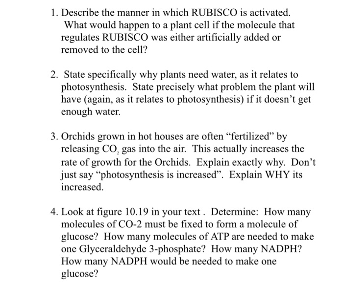 Solved 1. Describe the manner in which RUBISCO is activated. | Chegg.com