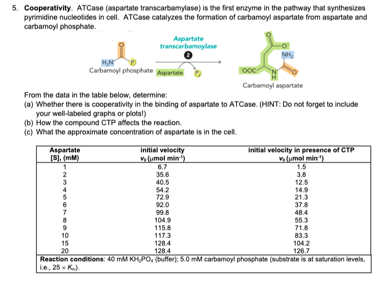 Solved Cooperativity. ATCase (aspartate transcarbamylase) is | Chegg.com