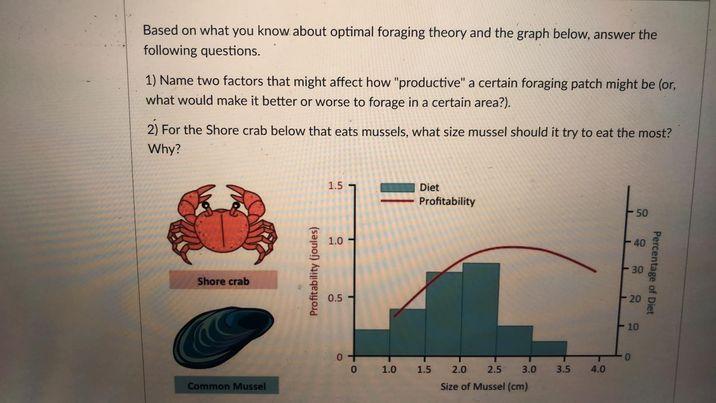 Solved Based on what you know about optimal foraging theory | Chegg.com