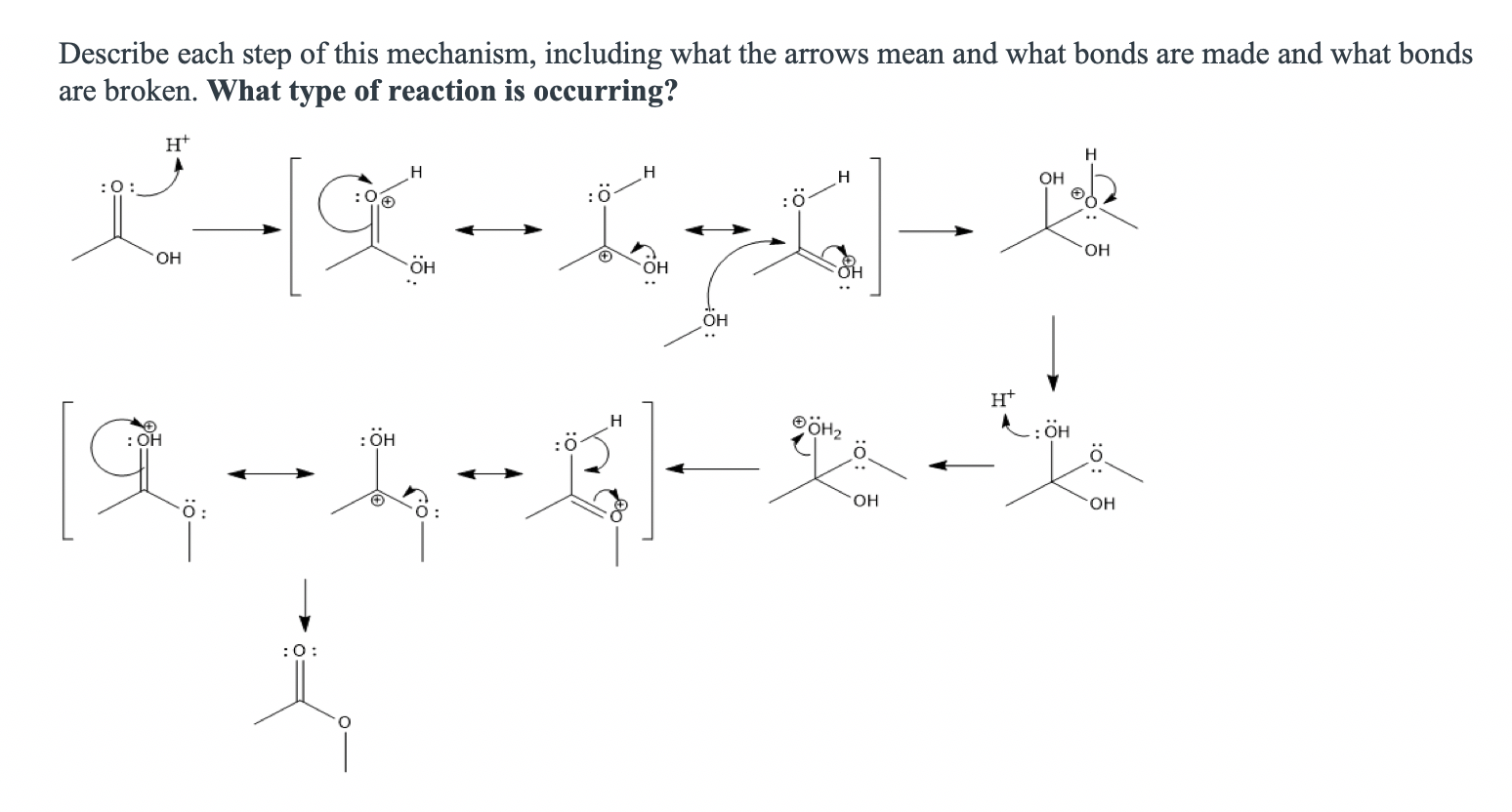 Solved Describe each step of this mechanism, including what | Chegg.com