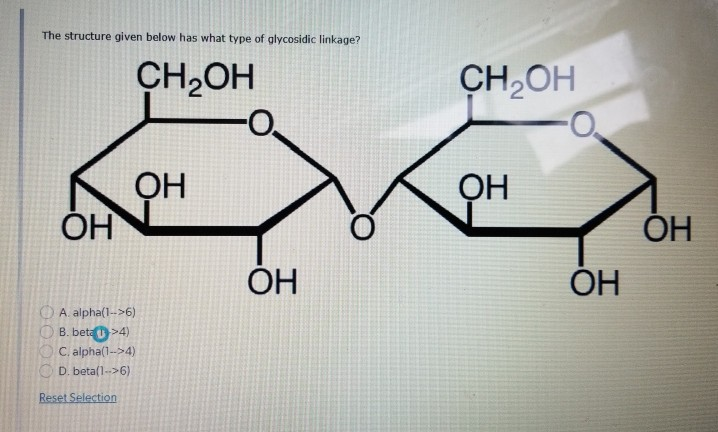 Solved The structure given below has what type of glycosidic | Chegg.com