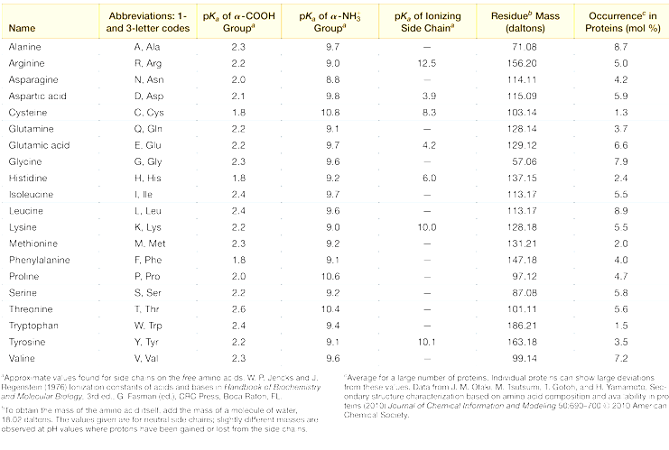 Solved The melanocyte-stimulating peptide hormone | Chegg.com