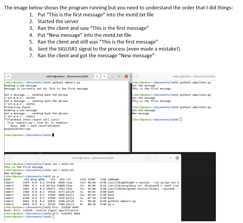 Solved Write a client-server application that uses UDP/IP | Chegg.com