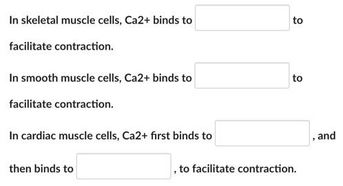 Solved In skeletal muscle cells, Ca2+ binds to to facilitate | Chegg.com