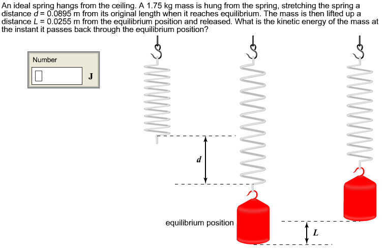 Solved An ideal spring hangs from the ceiling. A 1.75 kg | Chegg.com