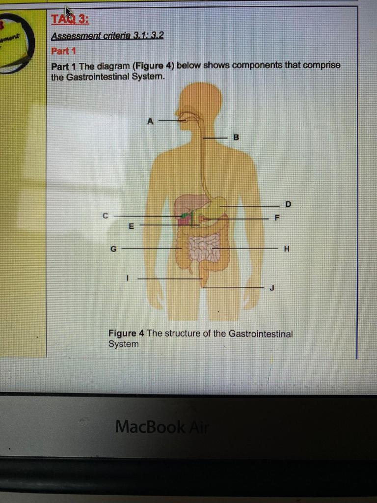 Solved relate the structure of the following components | Chegg.com