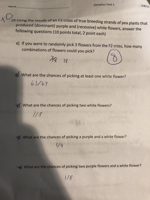 Solved Genetics Test 1 Name Using the results of an F2 cross | Chegg.com