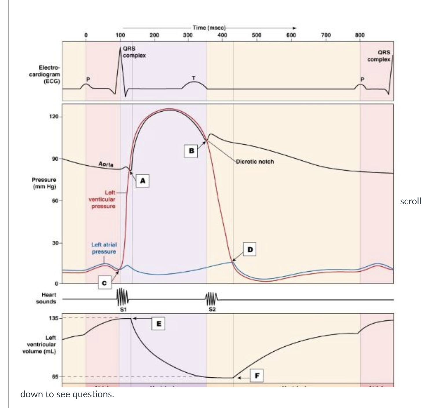Solved A. The ventricular ejection phase of systole will | Chegg.com