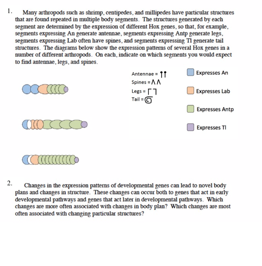 Solved 1. Many arthropods such as shrimp, centipedes, and | Chegg.com
