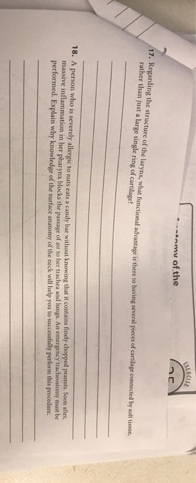 Solved tamv of the 17. Regarding the structure of the | Chegg.com