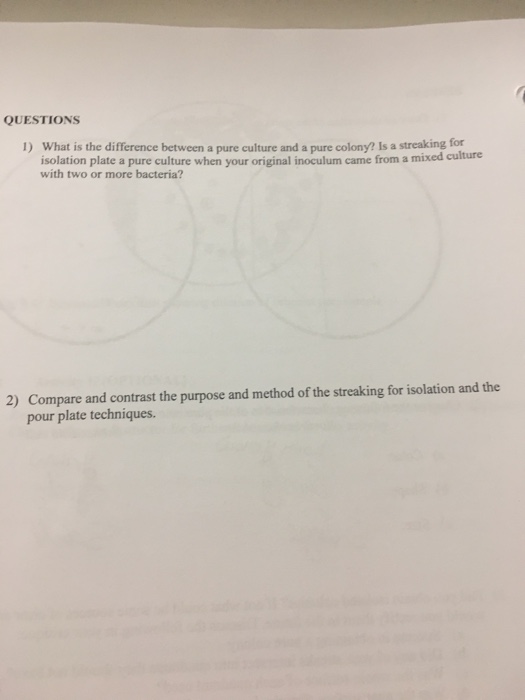 Solved QUESTIONS 1) What is the difference between a pure | Chegg.com