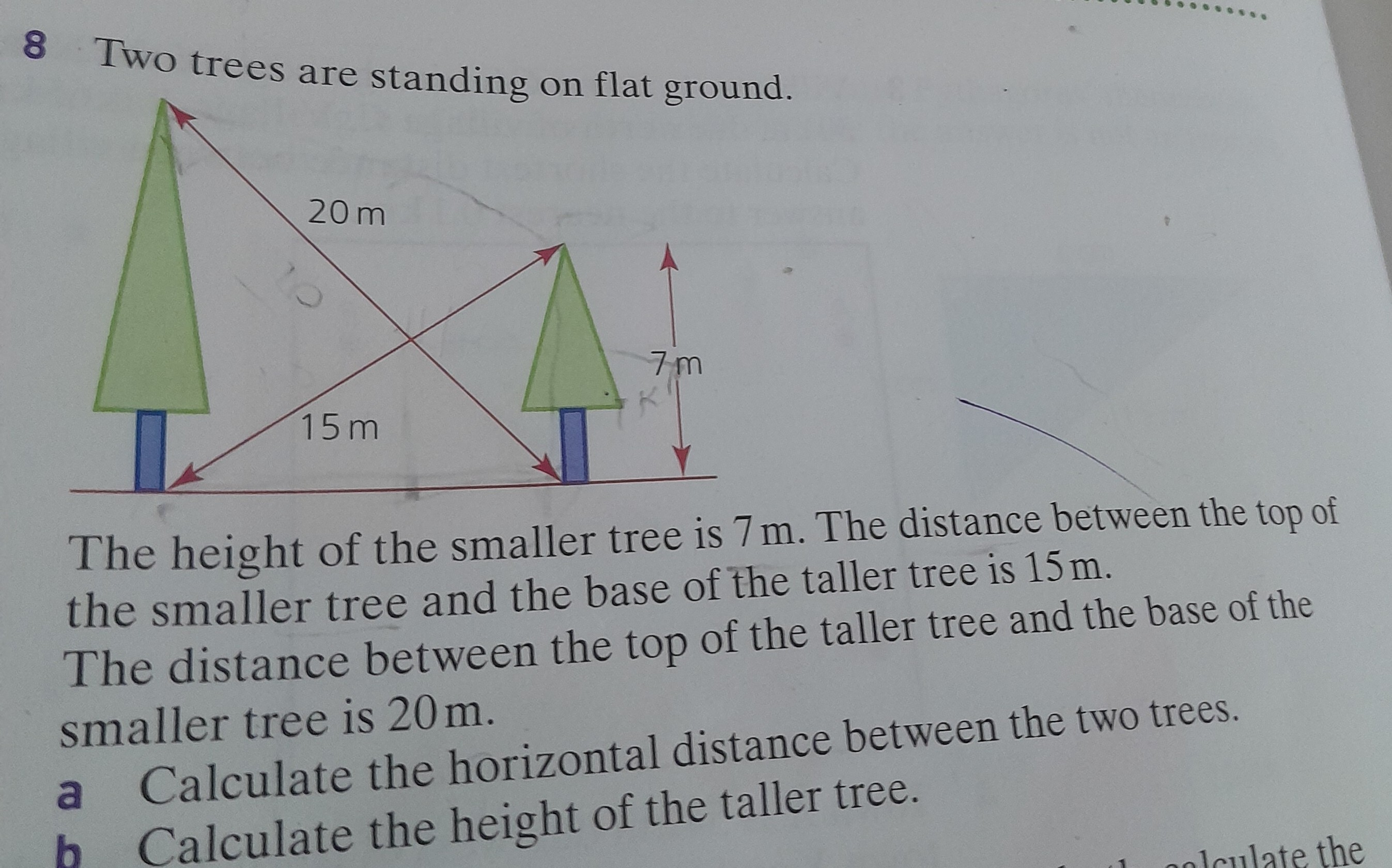 Solved 8 Two trees are standing on flat ornund. The height | Chegg.com