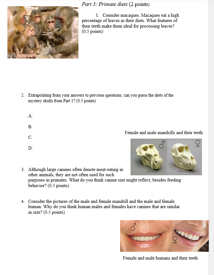 Solved Part 3: Primate diets (2 points) 1. Consider | Chegg.com