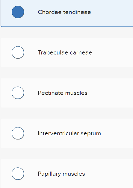 Solved Chordae tendineae Trabeculae carneae Pectinate | Chegg.com