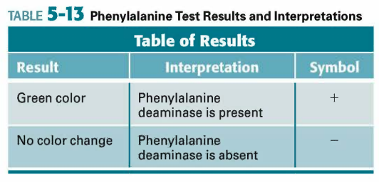 Solved TABLE 5-13 Phenylalanine Test Results and | Chegg.com