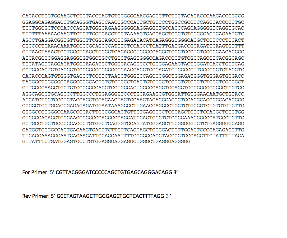PCR Primer Practice This is your PCR primer practice, | Chegg.com