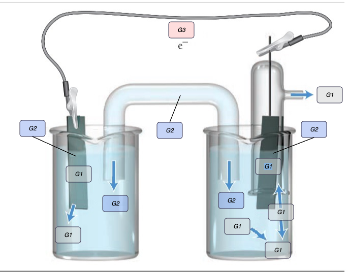 Solved Make a sketch of the voltaic cell represented by the | Chegg.com