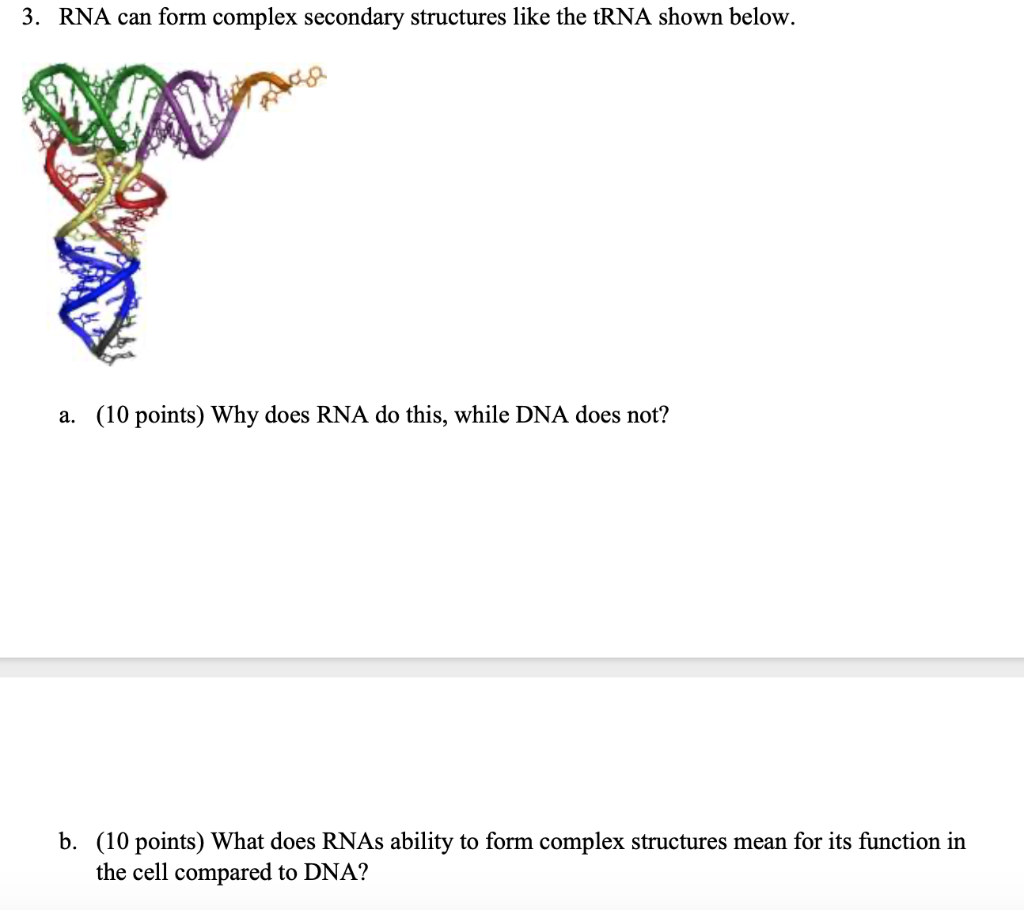 Solved 3. RNA can form complex secondary structures like the | Chegg.com