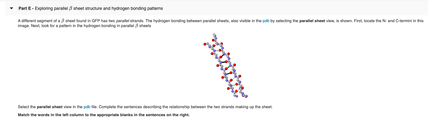 Solved Part E - Exploring parallel B sheet structure and | Chegg.com