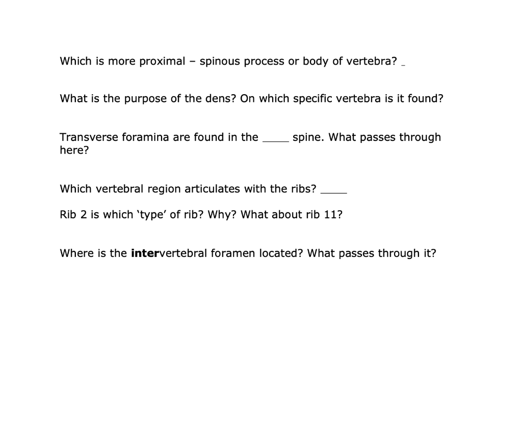 Solved 1. Identify each region of the spine (cephalic to | Chegg.com