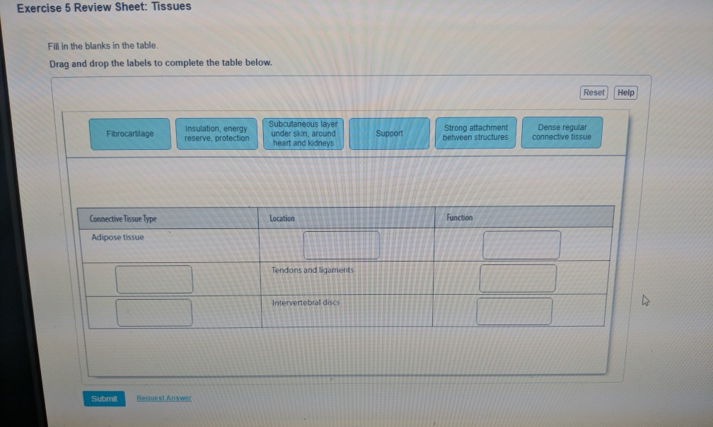 Solved Part A-Question 1, part 1 F in the blanks in the | Chegg.com