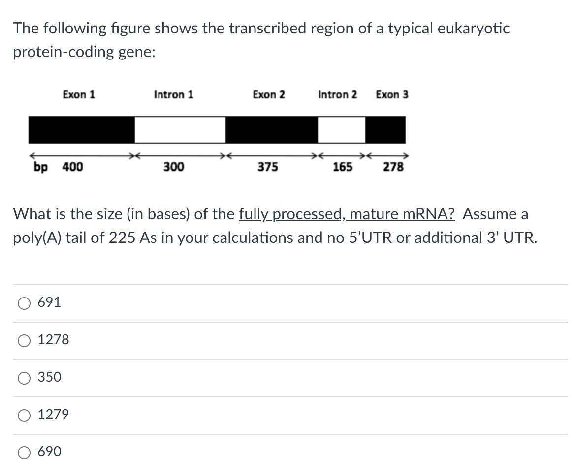Solved The following figure shows the transcribed region of | Chegg.com