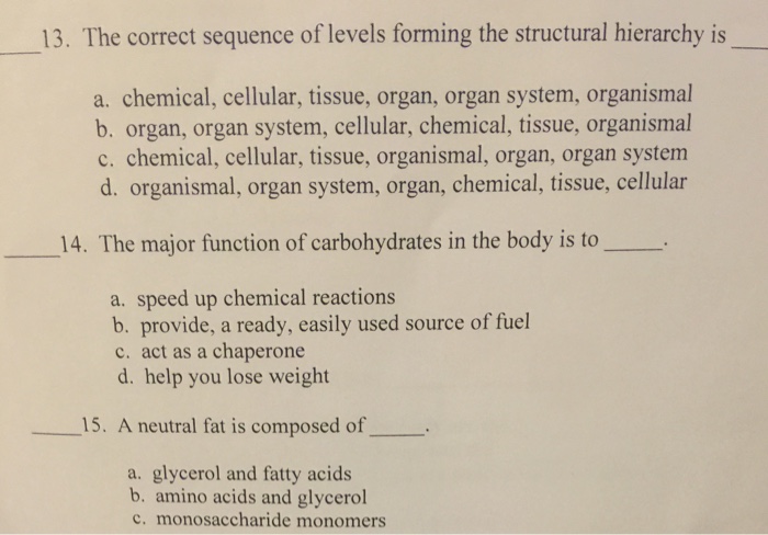 Solved The correct sequence of levels forming the structural | Chegg.com