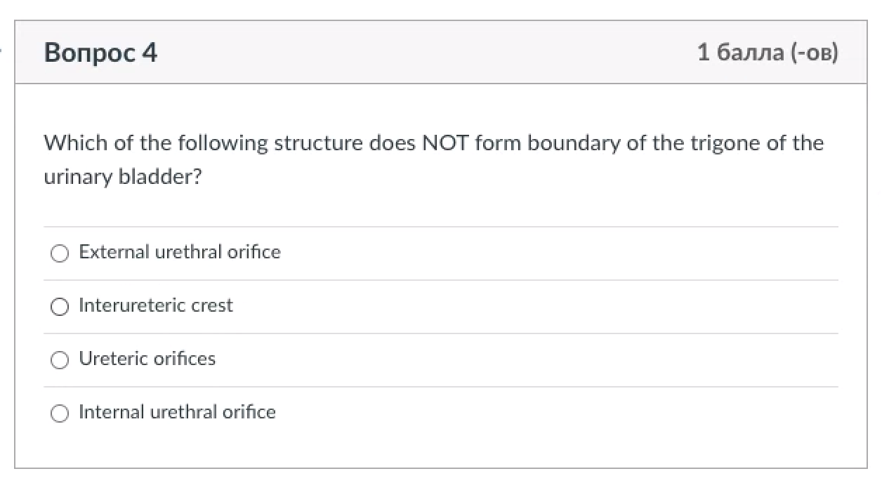Solved Вопрос 4 1 балла (-ов) Which of the following | Chegg.com