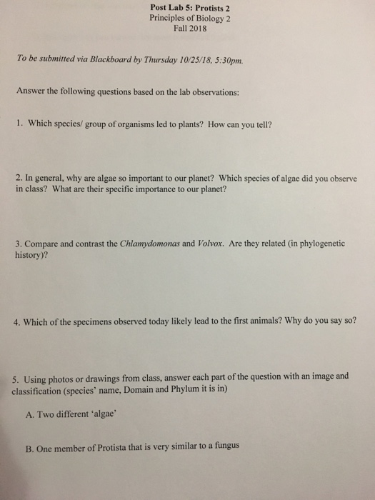 Solved Post Lab 5: Protists 2 Principles of Biology 2 Fall | Chegg.com