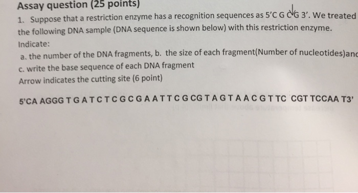 Solved Suppose that a restriction enzyme has a recognition | Chegg.com