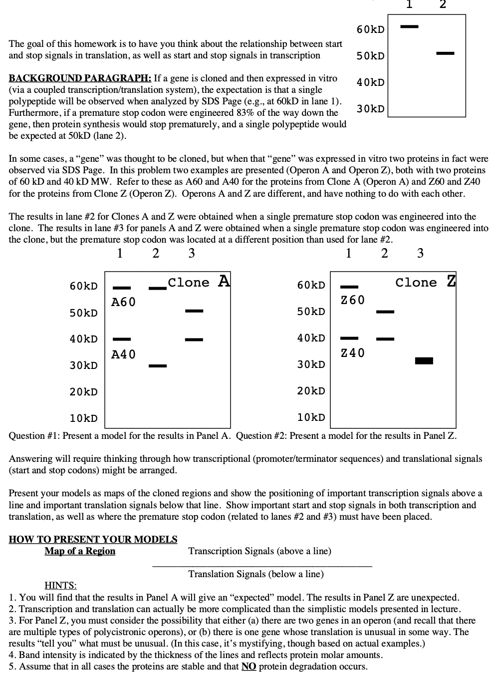 If someone could please help me with questions 1 and | Chegg.com