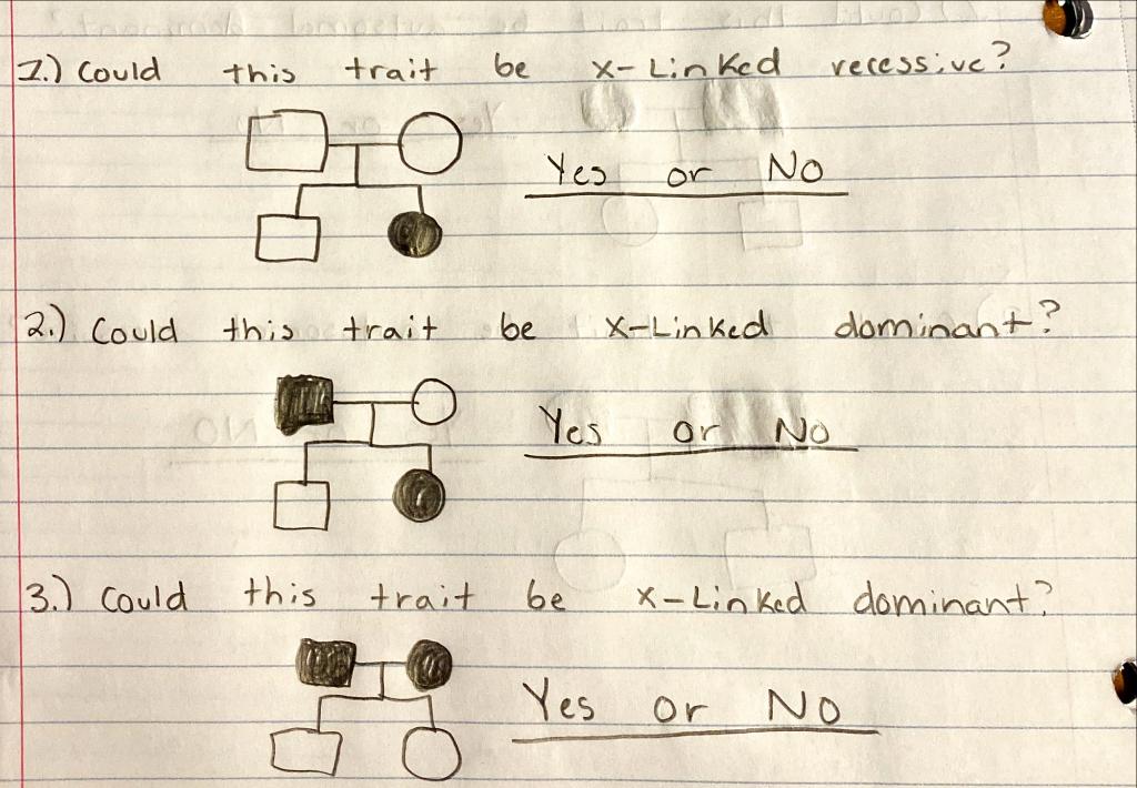 Solved 7.) Could this trait be x-Linked recessive? Yes or No | Chegg.com