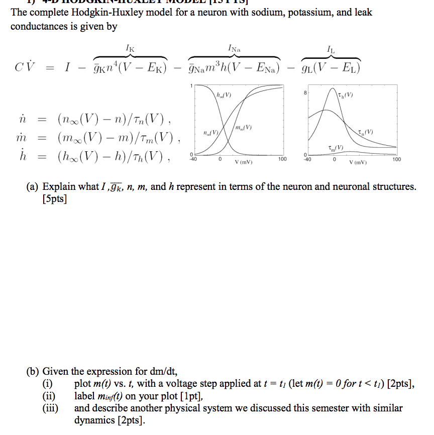 The complete Hodgkin-Huxley model for a neuron with | Chegg.com