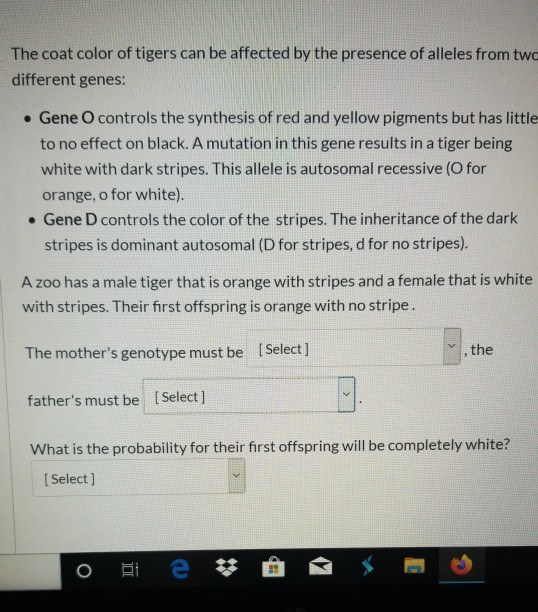 Solved The coat color of tigers can be affected by the | Chegg.com
