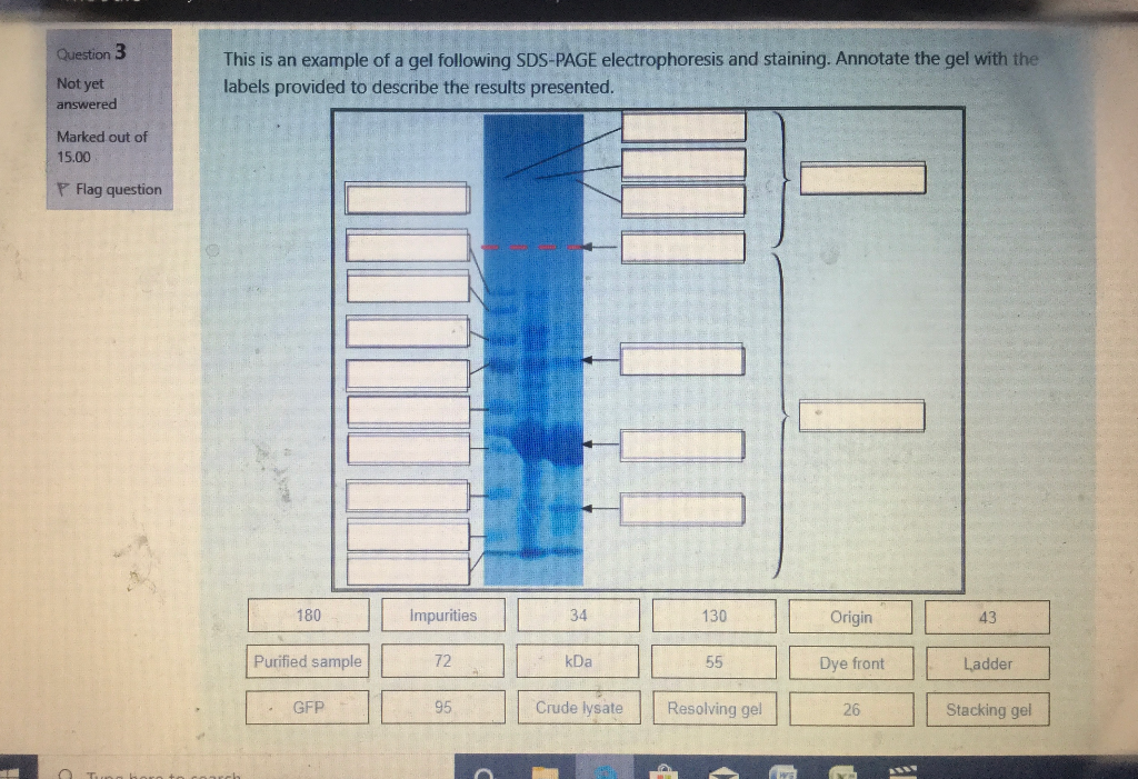 Solved Question 3 This is an example of a gel following | Chegg.com
