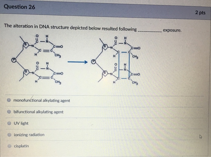 Solved The alteration in DNA structure depicted below | Chegg.com