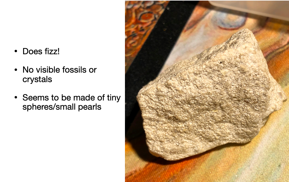 Solved 172 CHAPTER 6 USING SEDIMENTARY ROCKS TO INTERPRET | Chegg.com