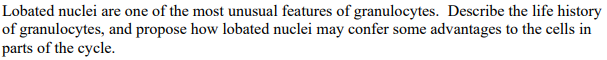 Solved Lobated nuclei are one of the most unusual features | Chegg.com