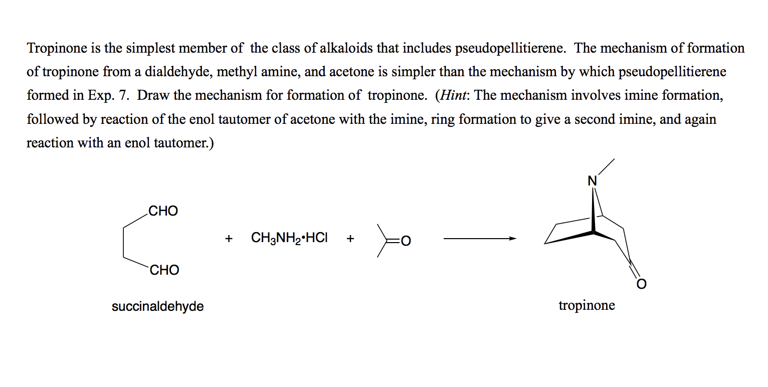 Solved Tropinone is the simplest member of the class of | Chegg.com