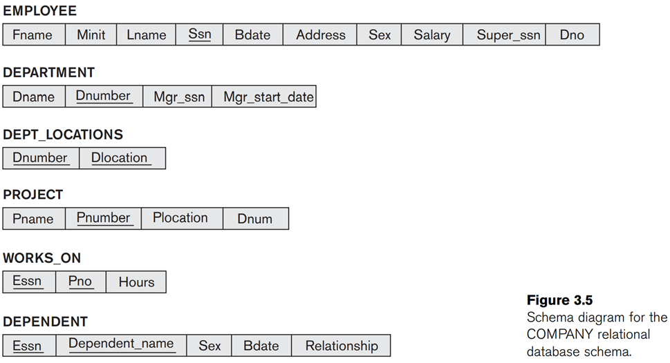 Solved Specify the following queries on the COMPANY | Chegg.com